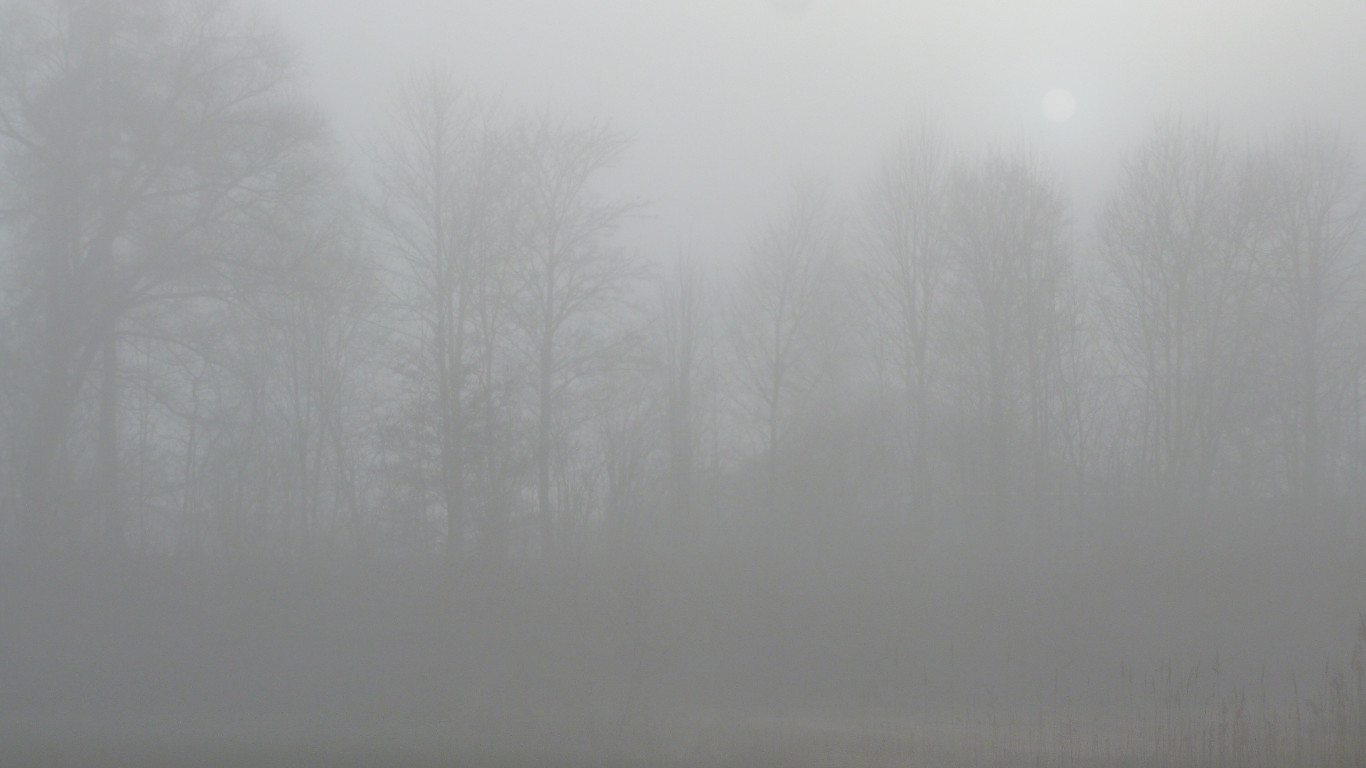 Nebelgestalten – www.dirk-jakobsmeier.de